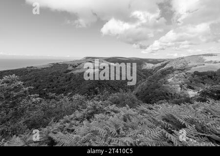 Landscape photo of Countisbury Hill and Watersmeet Valley in Exmmor ...