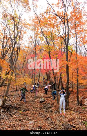 BENXI CITY- OCTOBER 12: Tour buses driving in GuanMenShan scenic, on ...