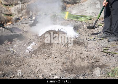 Preparation for traditional Fijian in ground oven or lovo for cooking ...