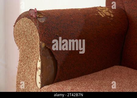 Old Torn Material Sofa Upholstery Surface Worn Fabric Furniture Vintage ...
