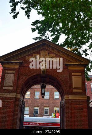 A stunning cultural house in America basks in the warm embrace of ...