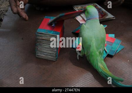 Indian astrology chart India Stock Photo - Alamy