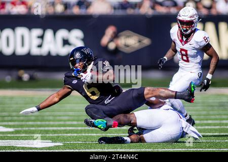 Florida State's DJ Lundy (10) celebrates his touchdown during the ...