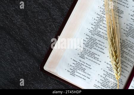 Ripe spring barley and an open Holy Bible Book on a rustic wooden table ...