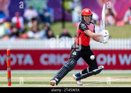 Jess Duffin of the Melbourne Renegades in action during the Womens Big ...