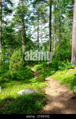 beautiful path in southern Sweden's forests Stock Photo - Alamy