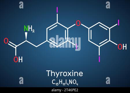 A Chemical formula structure of thyroxine on white background Stock Vector Image & Art - Alamy