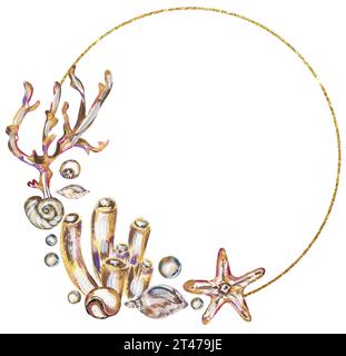 Acrylic hand painted sea shells illustration set, graphic shells ...