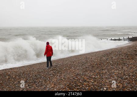 Selsey, West Sussex. October 29, 2023. A family dodge the waves as they ...