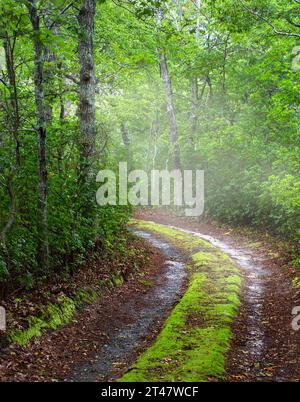 Tarvel Scenes on Capr Cod Stock Photo - Alamy