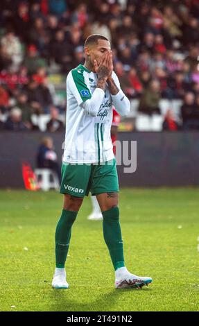 Vejle, Denmark. 29th Oct, 2023. Football fans of Viborg FF seen on the ...