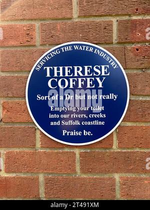 Therese Coffey - fake blue plaque installed by the River Deben in ...