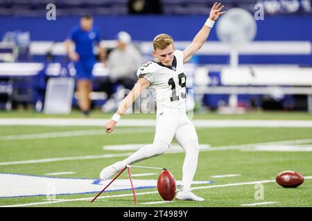 Indianapolis Colts kicker Blake Grupe (10) kicks a field goal from the ...