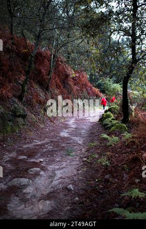 Pilgrims walk through a field in the Paso de Cortes as they travel to ...