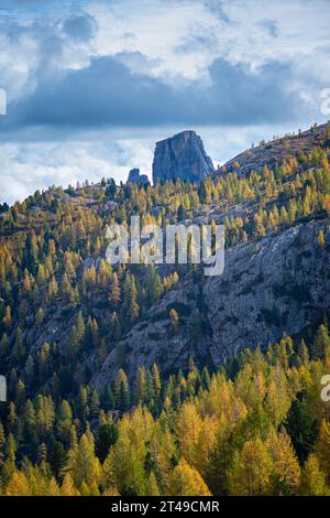 Rock formation amidst golden larch trees Stock Photo - Alamy