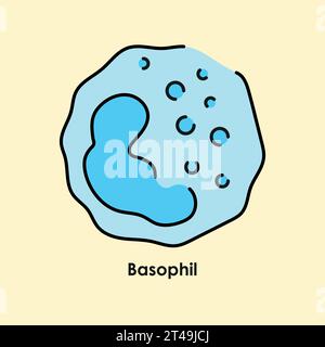 Basophil color icon. White blood cells in the blood vessels. Vector isolated illustration Stock ...