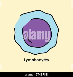 Lymphocytes color icon. White blood cells in the blood vessels. Vector ...