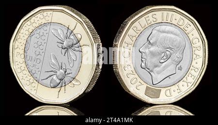 The 2023 12 sided bimetallic one pound coin featuring the new design of ...