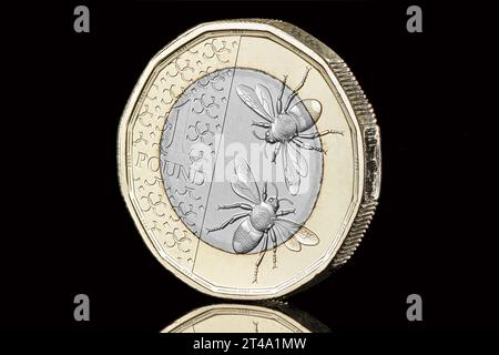 The 2023 12 sided bimetallic one pound coin featuring the new design of ...