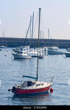 Sailboats mooring in small marina Janus full of colorful flowers near ...