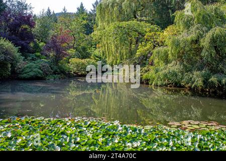 Quarry Lake in the Sunken Garden, Butchart Gardens Stock Photo - Alamy