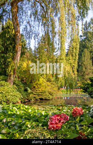Quarry Lake in the Sunken Garden, Butchart Gardens Stock Photo - Alamy