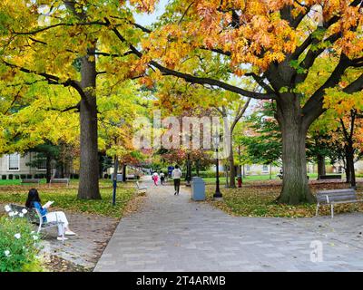 colorful fall foliage with trees changing colors Stock Photo - Alamy