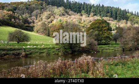 River Wye Path on English Side Gloucestershire-Monmouthshire Border ...