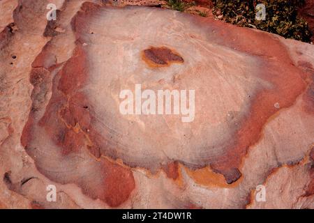 Multicoloured sandstone with cross stratification and Liesegang banding ...