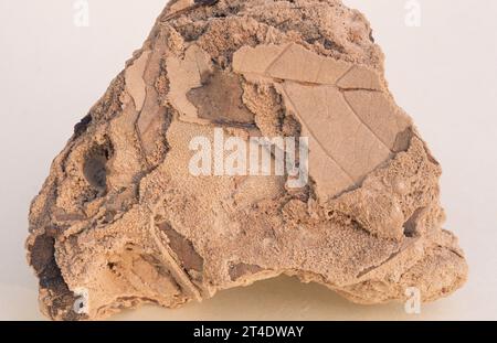 Tufa is a sedimentary rock, variety of porous limestone formed by ...