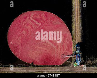 Cranberry Harvest NJ - Aerial view of a flooded bog in the southern ...