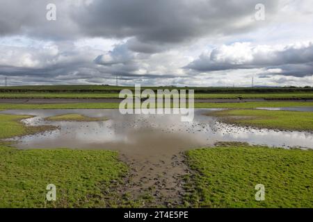 Flooded and waterlogged ground Becconsall Out Marsh looking toward the ...