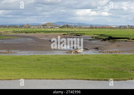 Waterlogged field and marsh on the banks of the River Douglas at ...