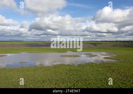 Waterlogged field and marsh on the banks of the River Douglas at ...