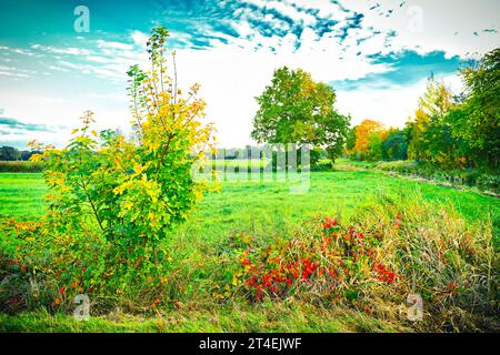 Herbstlandschaft im Naturschutzgebiet Kirchwerder Wiesen in Hamburg ...