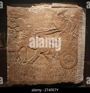 Neo-Assyrian Empire. The King Ashurbanipal (668-627 BC) on a lion hunt ...