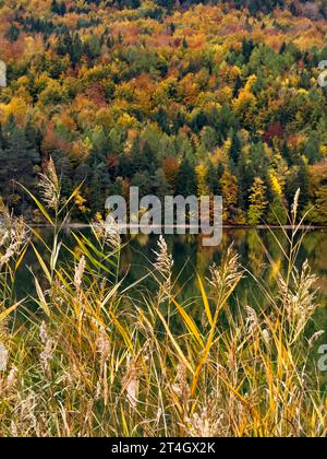 Weissensee, Germany. 30th Oct, 2023. Lake Weissensee surrounded by ...