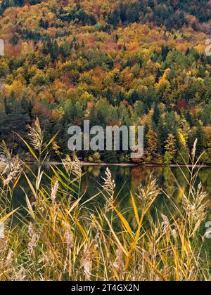 Weissensee, Germany. 30th Oct, 2023. Lake Weissensee surrounded by ...