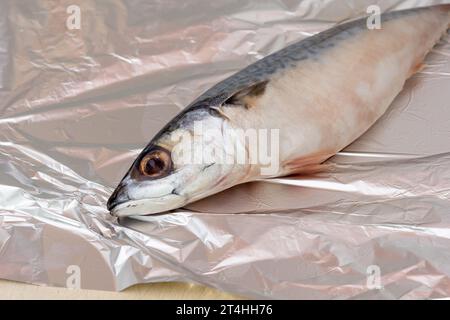 Iridescent mackerel skin Stock Photo - Alamy