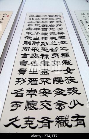 Traditional Chinese calligraphy features, closeup of photo Stock Photo ...