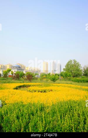 Greening plants in a park, closeup of photo Stock Photo - Alamy