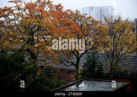 Copenhagen, Denmark /31 October. 2023/.Weather rain fall in autumns ...