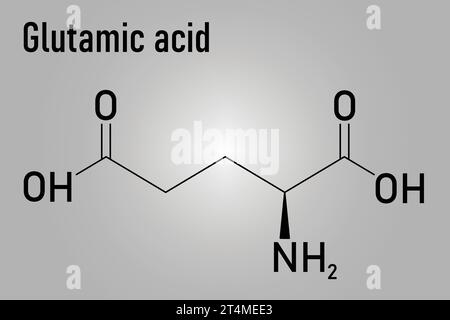 Glutamic acid is an amino acid. Chemical molecular formula glutamic ...