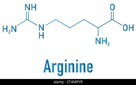 Arginine molecular structure. L-arginine skeletal chemical formula ...
