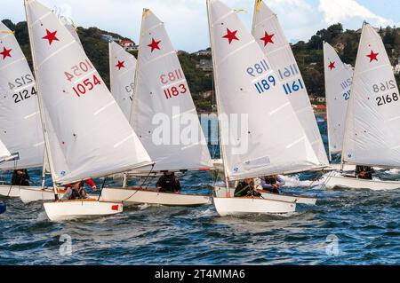 Starling class sailing dinghy,Wellington Harbour, New Zealand Stock ...