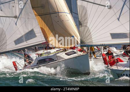 Dramatic yacht racing, Wellington harbour, New Zealand Stock Photo - Alamy