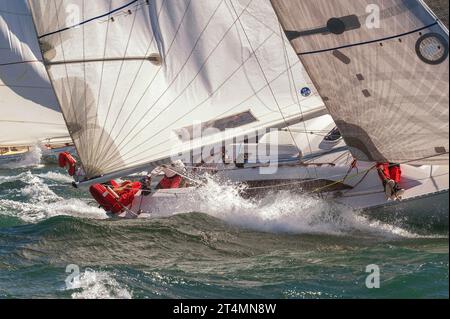 Dramatic yacht racing, Wellington harbour, New Zealand Stock Photo - Alamy