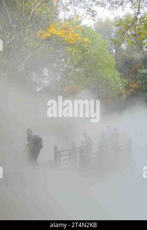 Tourists enjoy autumn scenery at Xishan National Forest Park in Beijing ...