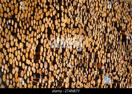 a stack of logs, with the ends shown obliquely Stock Photo - Alamy