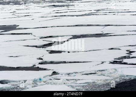 pack ice forming in waters of antarctic sound. northern tip of ...
